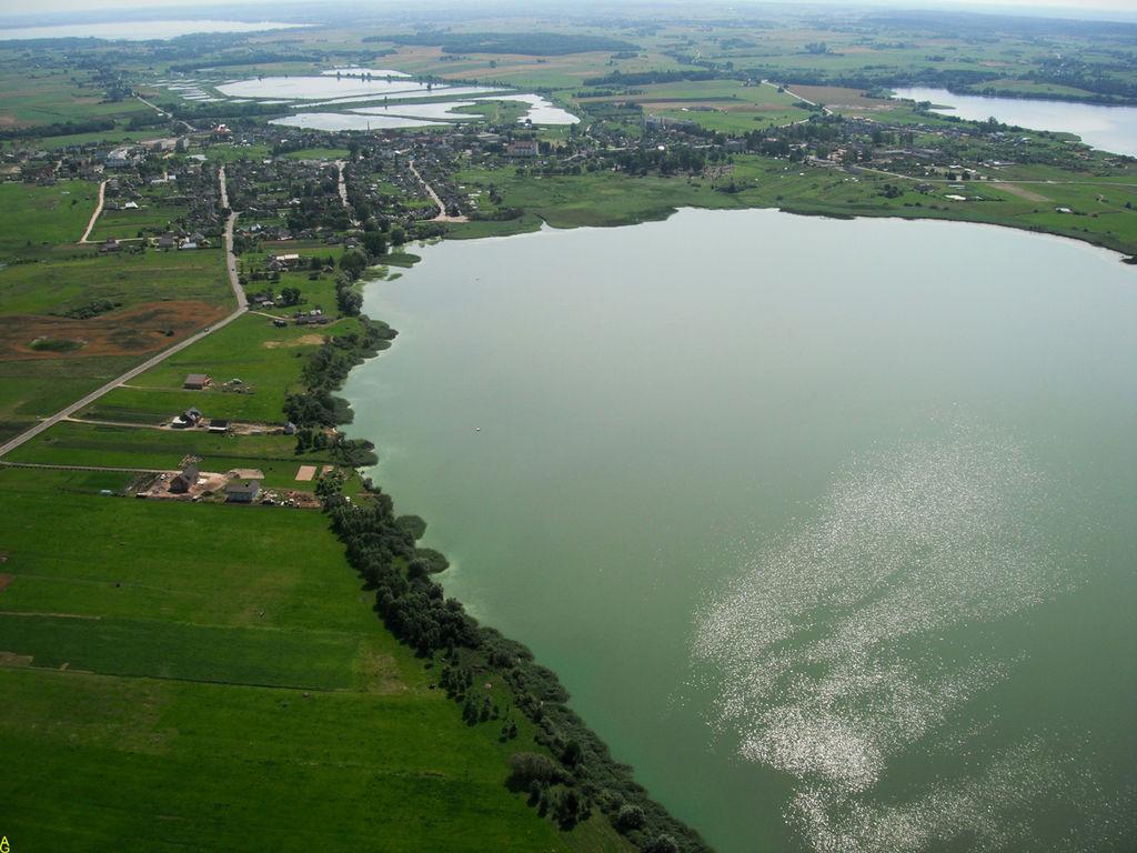 Lake Simnas | Algae service